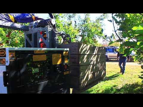 Ripe Robotics starts trials with fruit harvesting robot Eve - YouTube