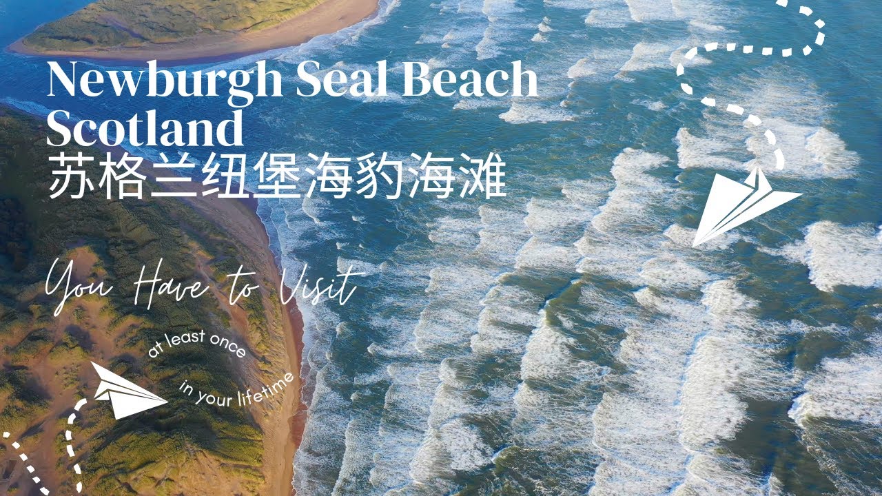 The Perfect Scottish Wild life Beach | Newburgh Seal Beach - YouTube