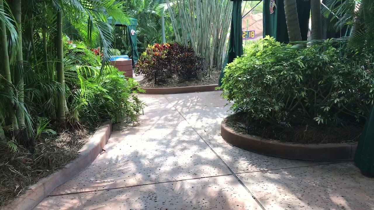 aquatica private cabanas in orlando florida - YouTube