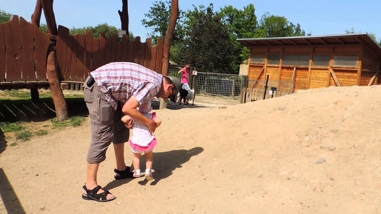 Sofinka v ZOO1 - YouTube