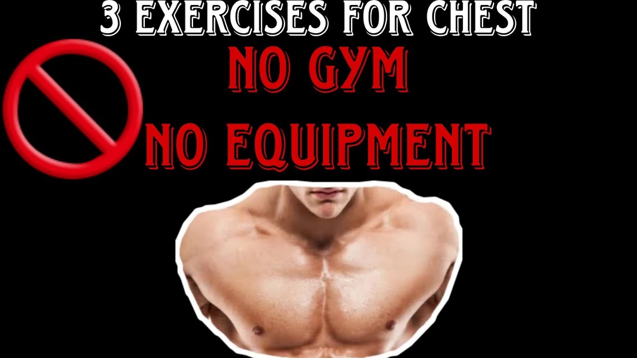 EXERCISES FOR CHEST(Beginners Edition chest workout ) - YouTube