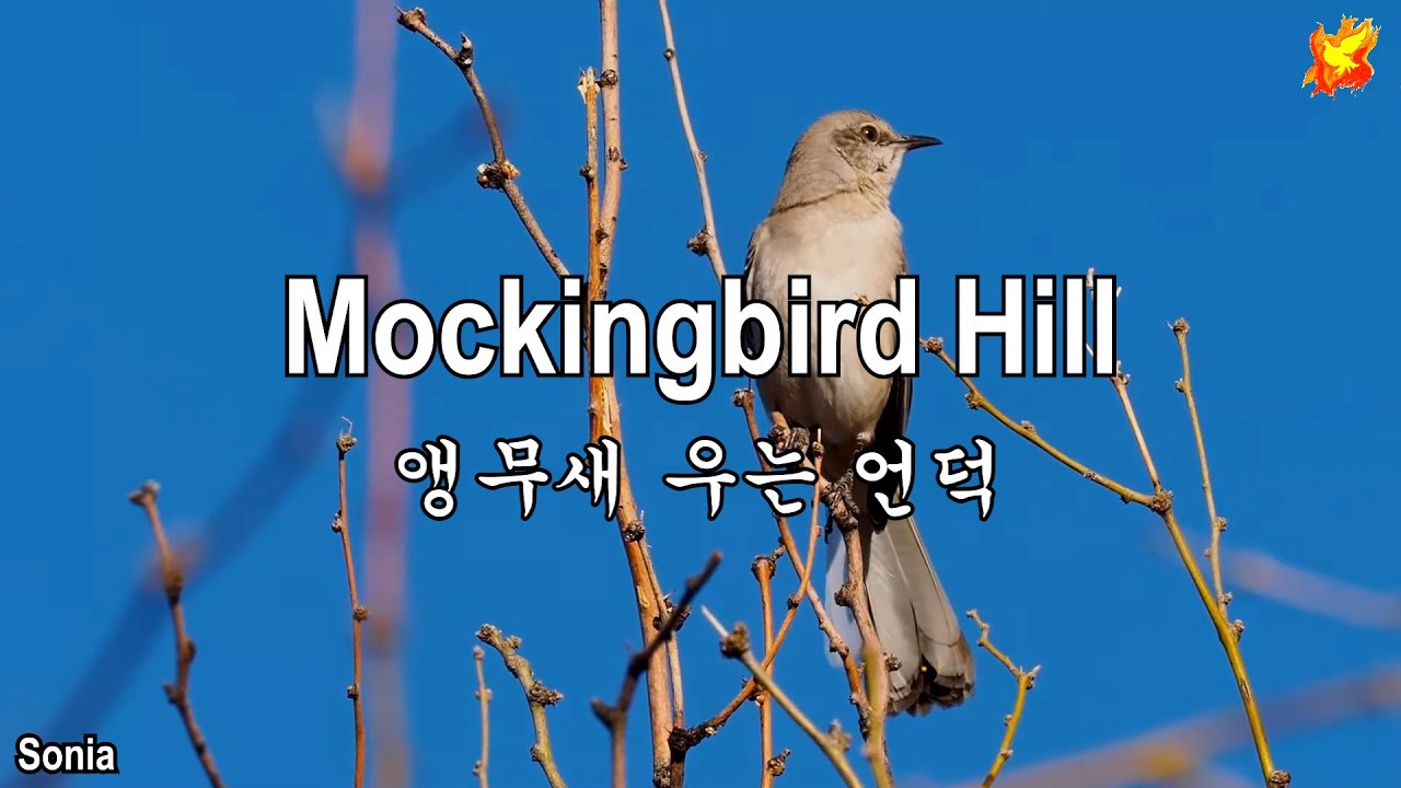 Mocking Bird Hill, with lyrics - 목킹버드 힐 (앵무새 우는 언덕) 영한 자막 - YouTube