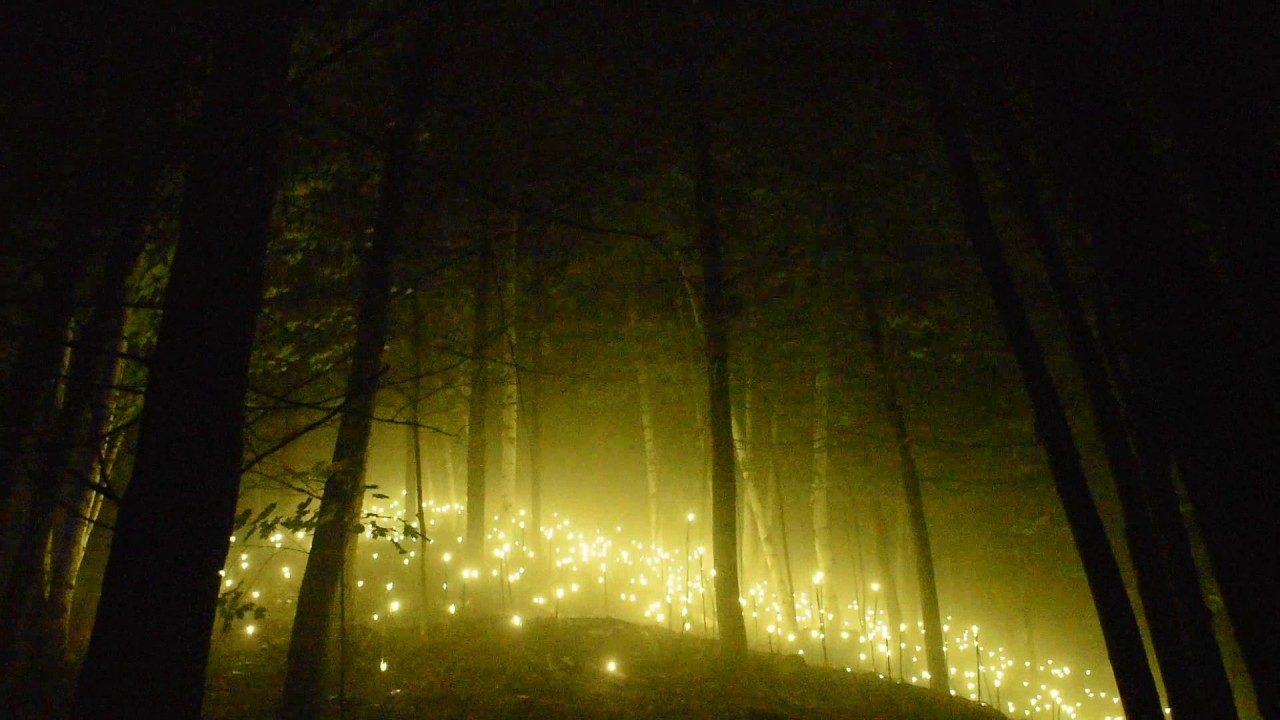Nuit de lucioles !! - YouTube