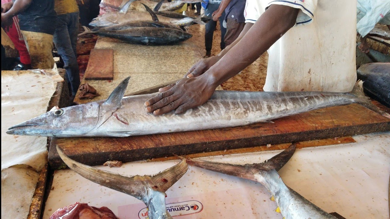 Live King Fish Cutting | An Amazing Knife Skills som fishing market ...