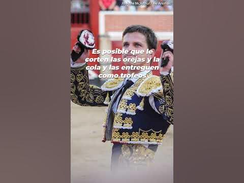 Las corridas de toros son tortura, no cultura - YouTube