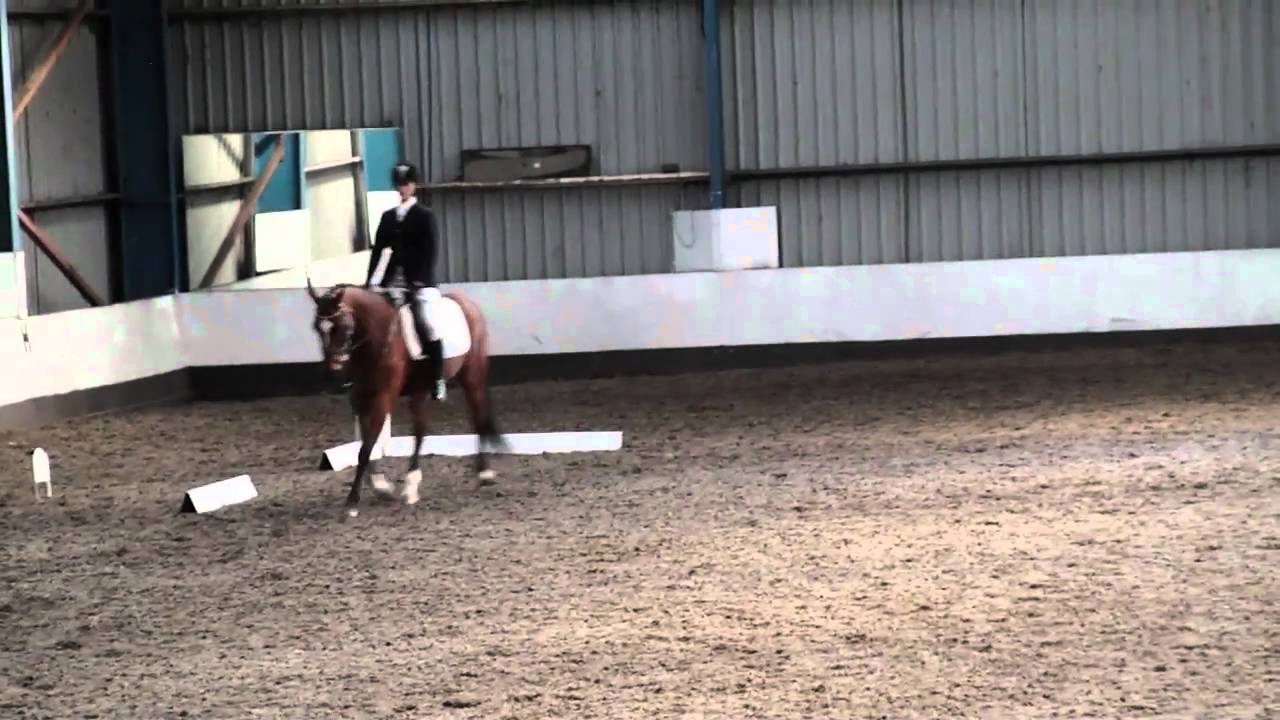 Midarc Young Rider's Dressage Prelim 18 - Aug 2010 - Issy + Davey (2nd ...