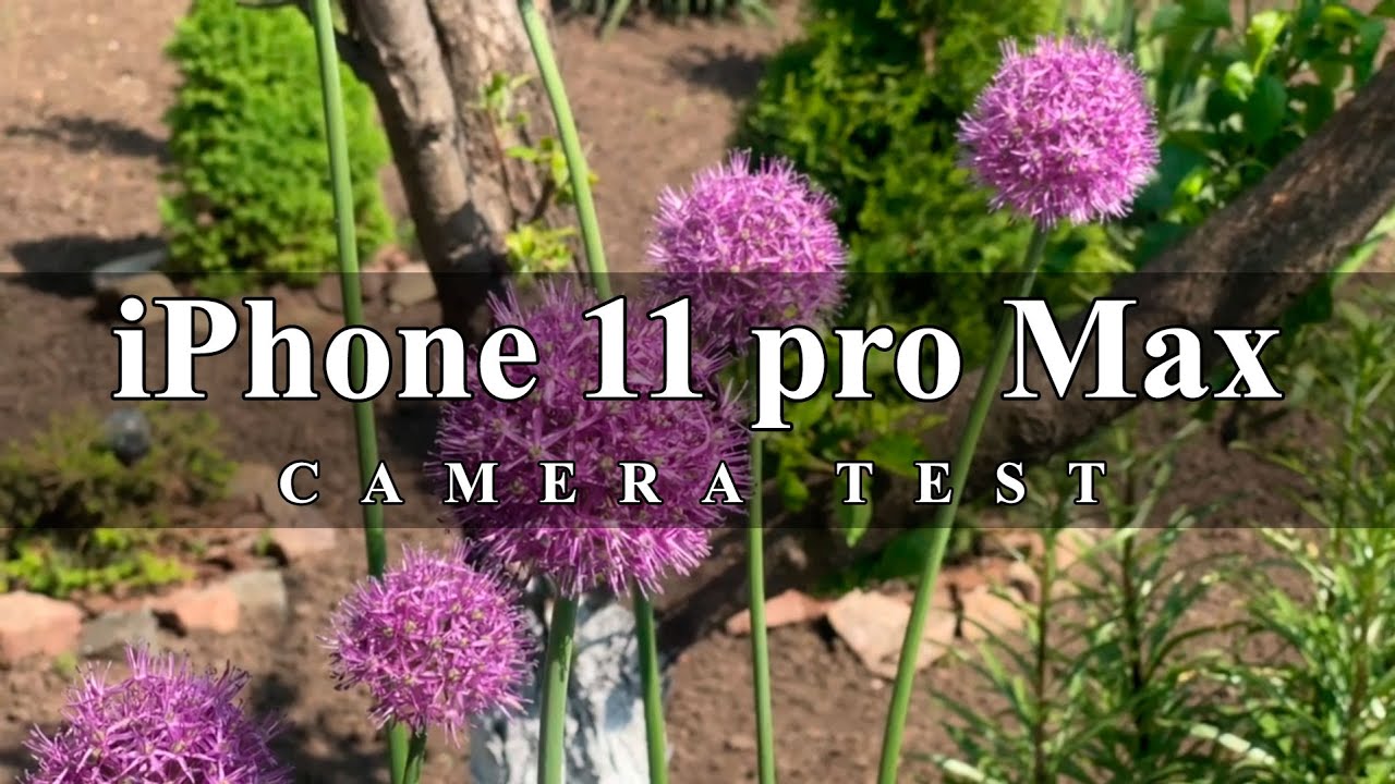 Apple iPhone 11 Pro Max - Video Camera Test (1280x720 | 30fps) - YouTube