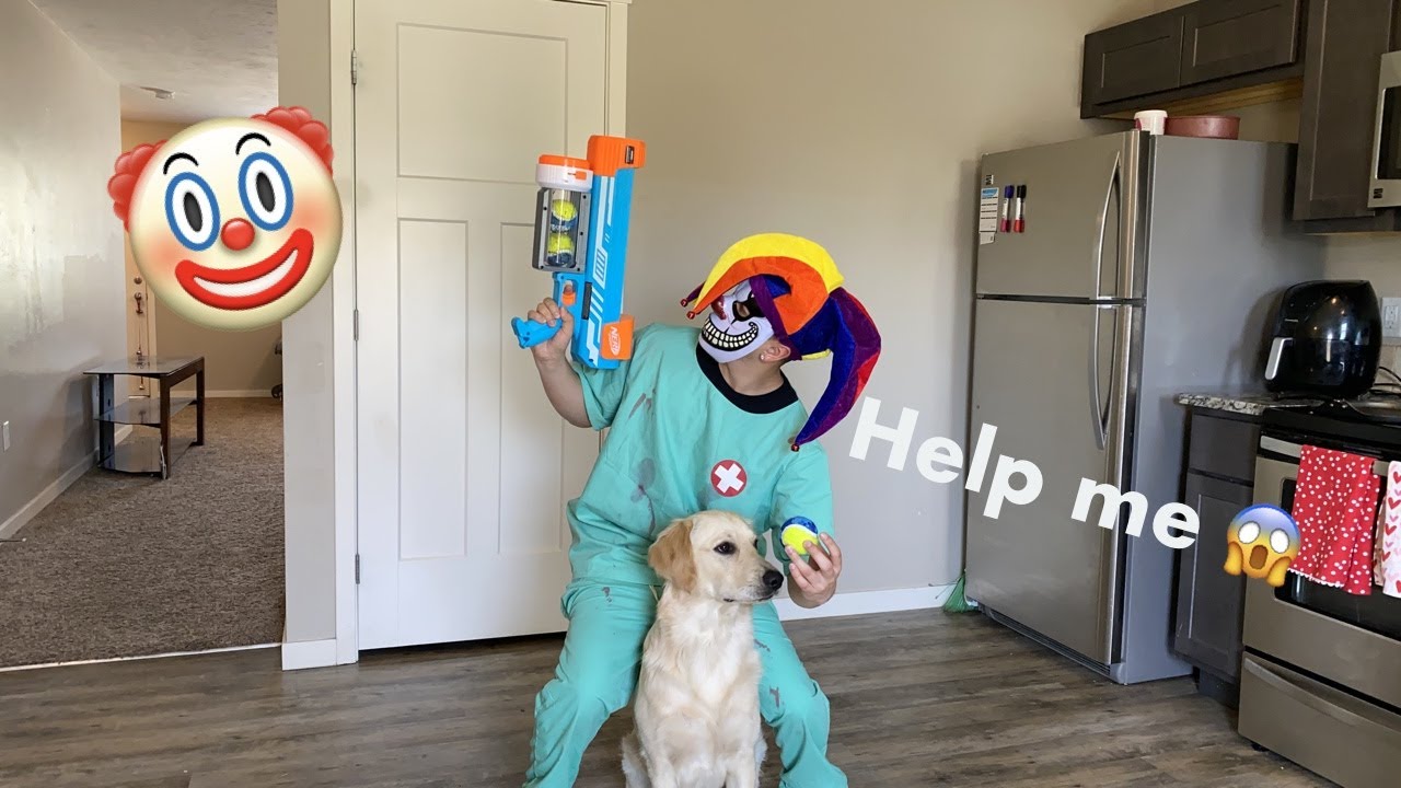 Scary clown and dog meet 😱 (super scary!) - YouTube