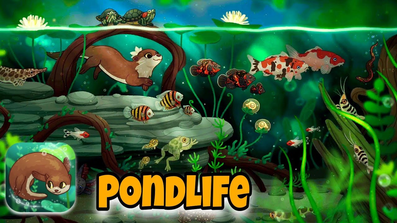 Pond life gameplay - Relaxing fish game android ios 2025 - YouTube
