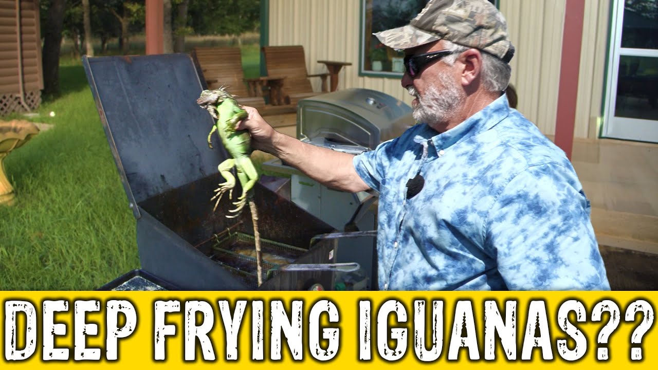 How to Cook Iguanas?? - YouTube