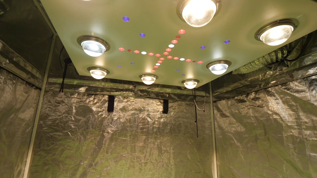 Optic Led Gardens Going into Flower - Update Slim 600h, Optic 8, Optic ...