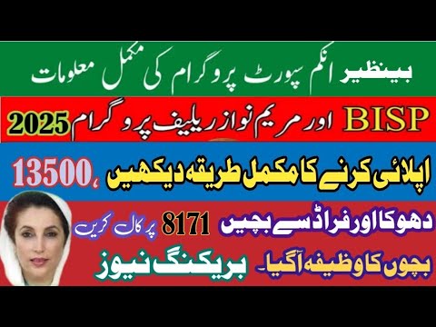 BISP full Detail vedio 2025 | 8171 Detail vedio | Apply krny ka Treka ...