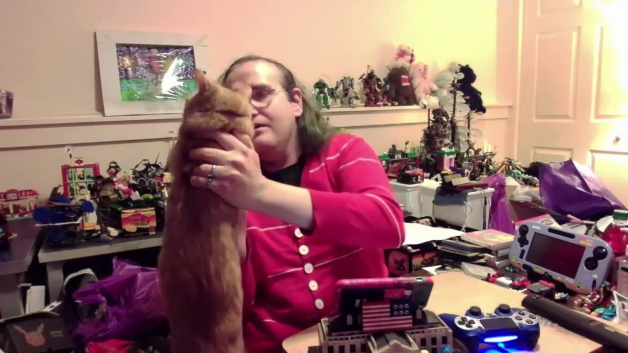 2016 11 12 A Paid Request - Beware of Incoming Terrorists (boring alert ...