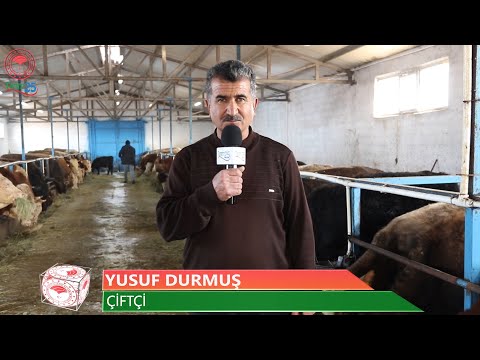 ERZURUM HORASAN İLÇESİ YUSUF DURMUŞ