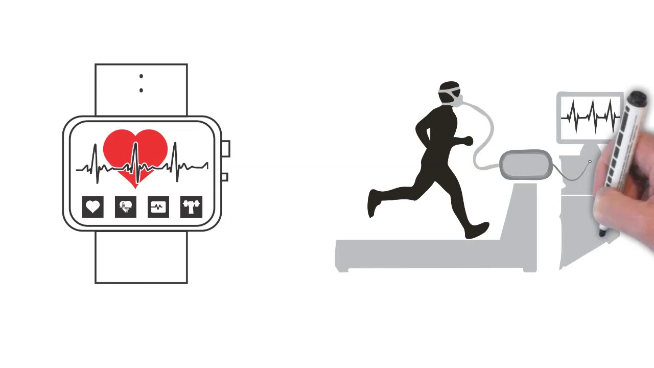 como calcular las pulsaciones en nuestros entrenamientos 2020 - YouTube