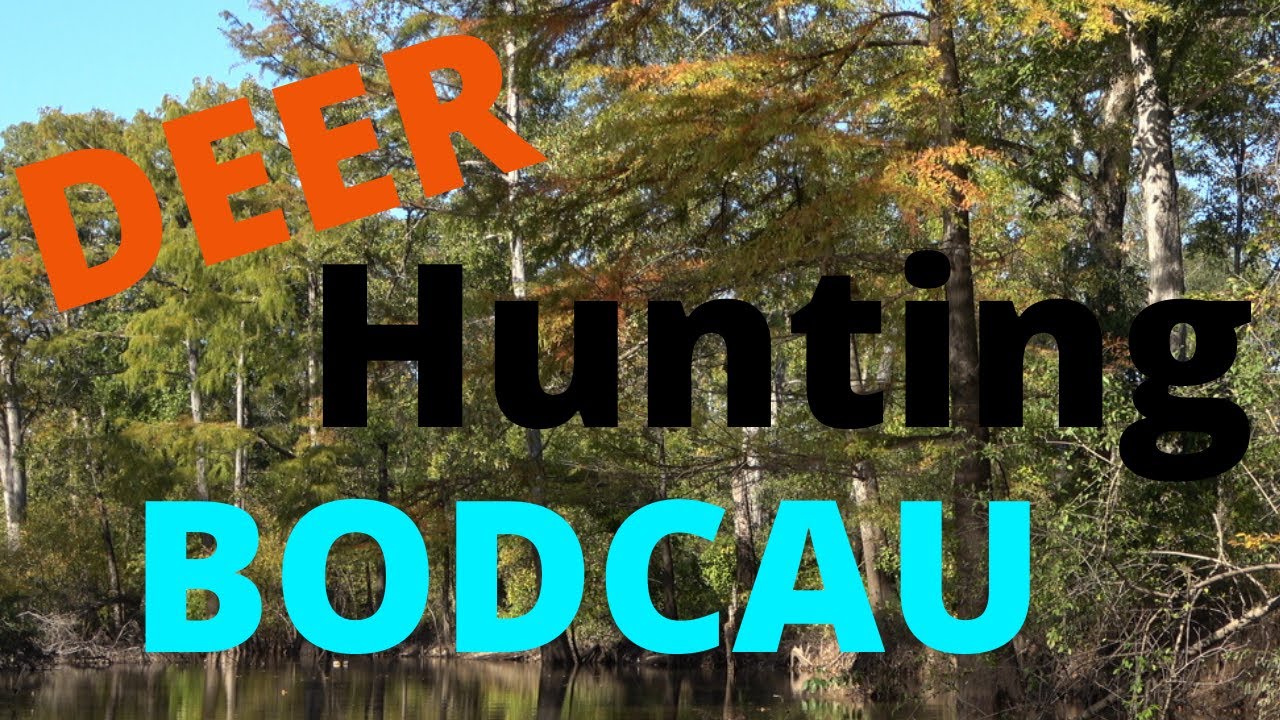 Deer Hunting Bodcau #BodcauWMA, #HuntingBodcau - YouTube