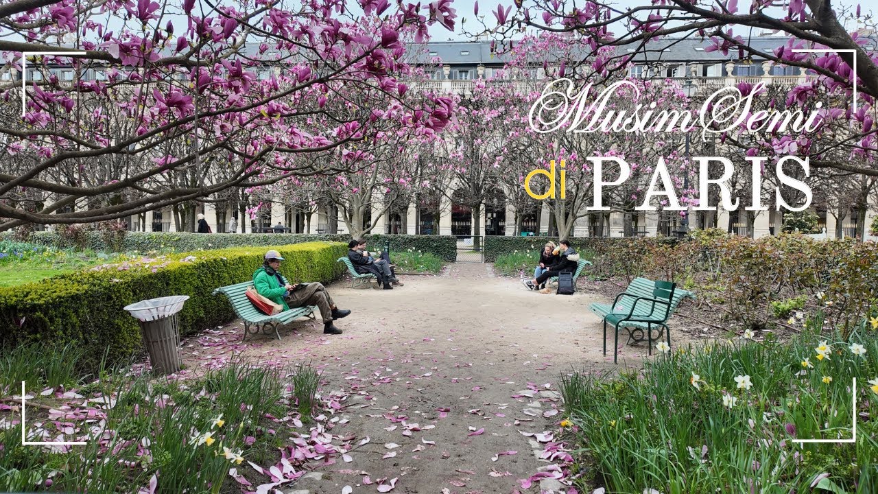 BAGAIMANA SUASANA MUSIM SEMI DI PARIS? MENARA EIFFEL - HÔTEL DE VILLE ...