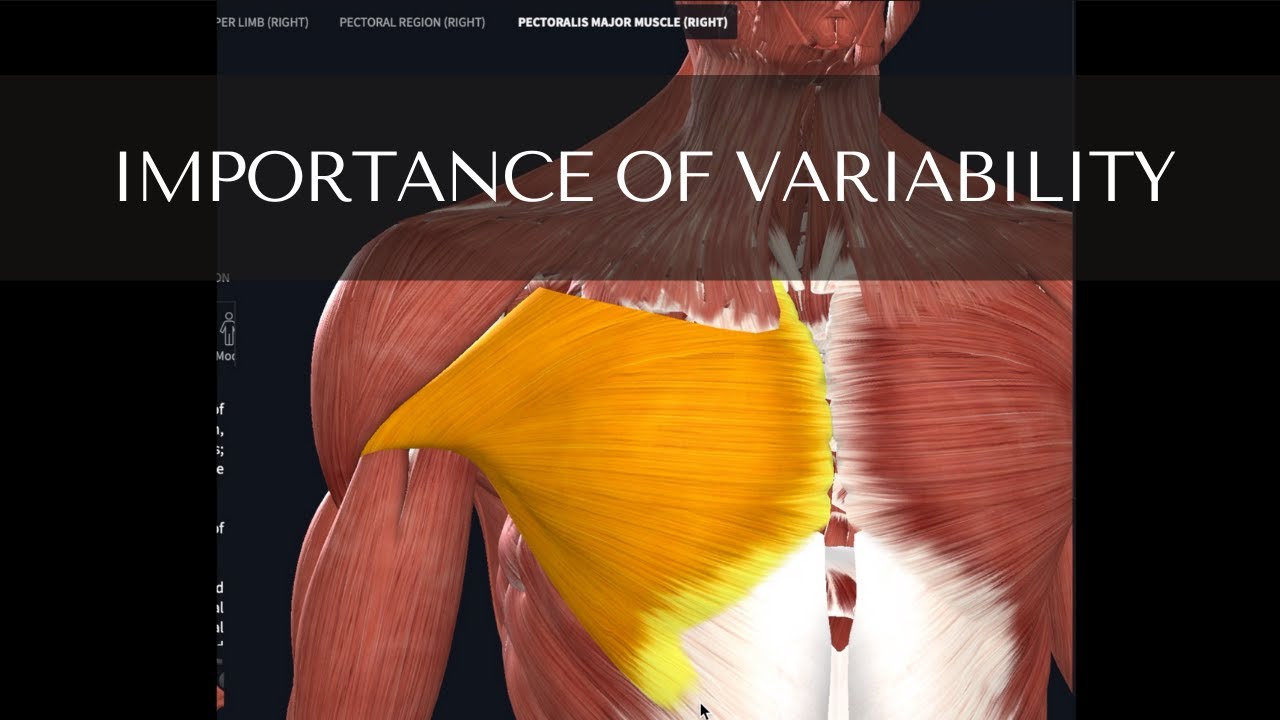 Importance of Variability in Training - YouTube