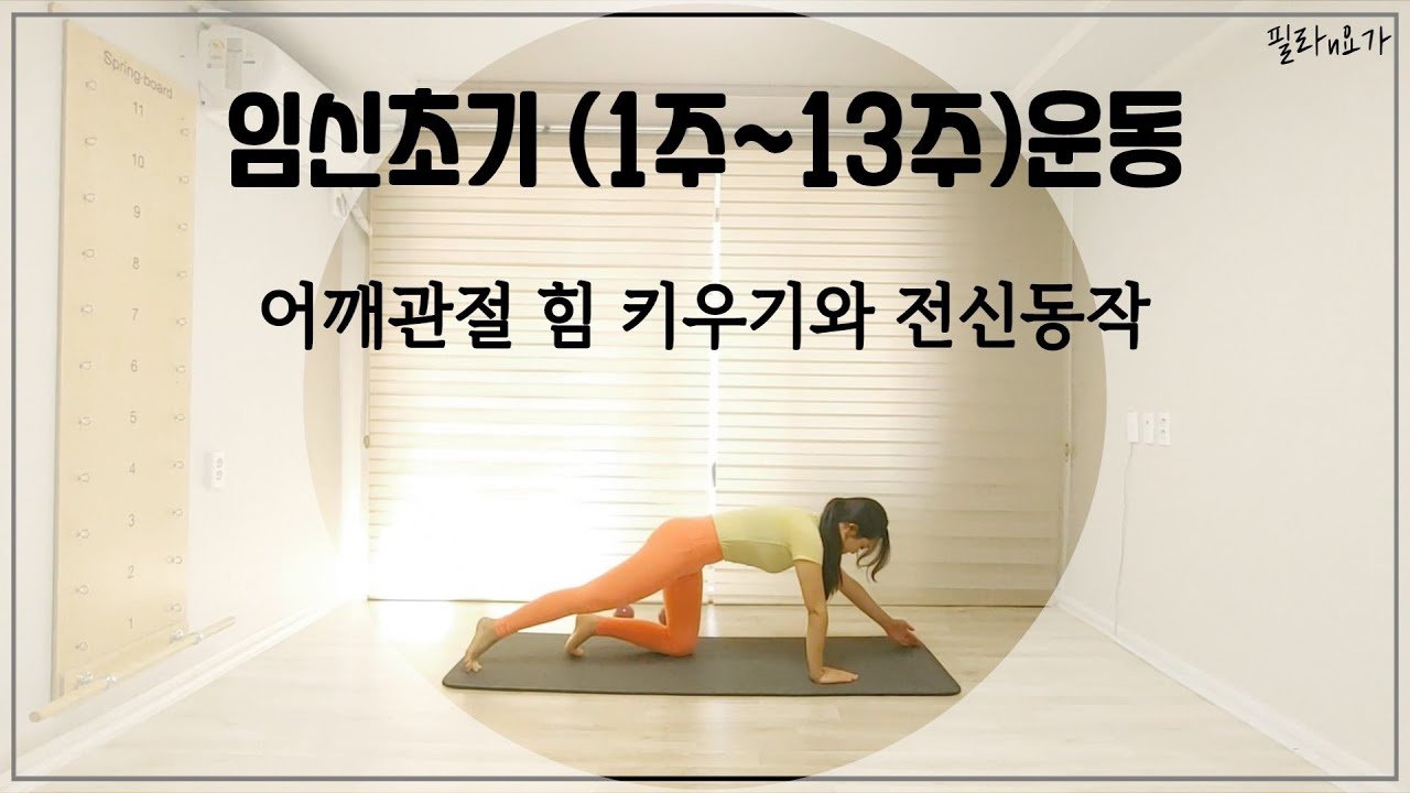 필라n요가 임신부터 13주차 까지 임신초기 산모를 위한 프로그램 토닝볼전신동작 어깨관절 힘 키우기 목 어깨