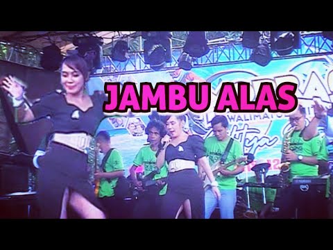 Jambu alas yang di bawakan mba dulu || cikidang entertainment || dangdut koplo || dangdut remix