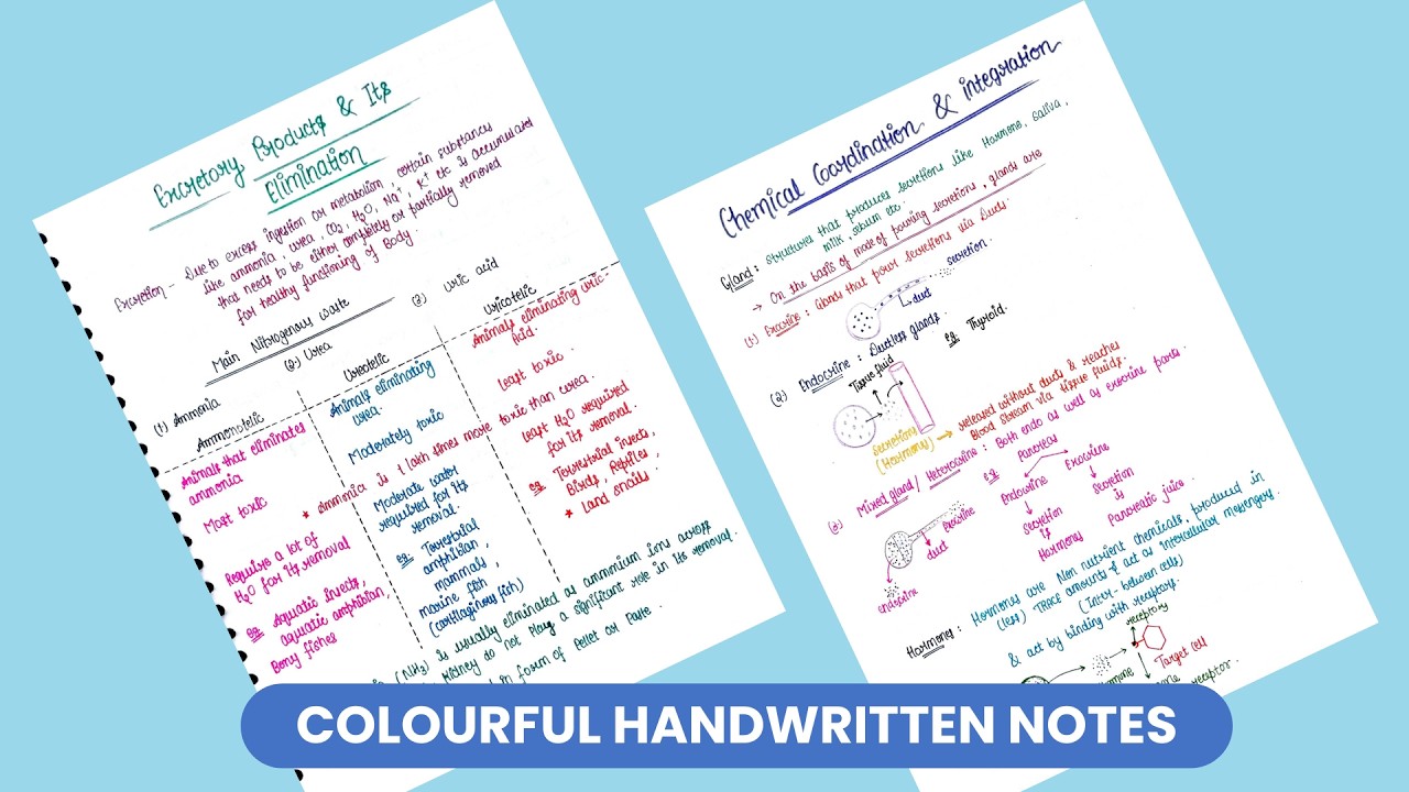 NEET Biology Handwritten Notes PDF। Complete NEET Biology Topper's ...