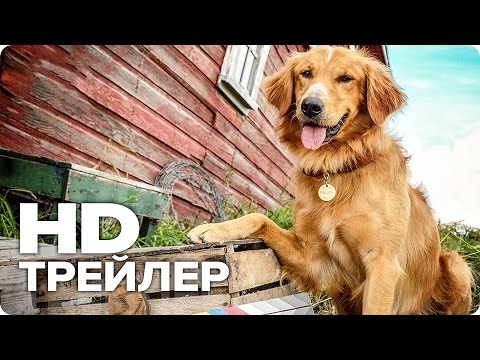 Собачья жизнь - Трейлер (Русский) 2017