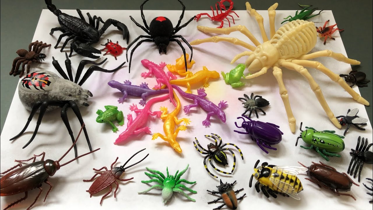 Moving toy spiders and insects for kids. - YouTube
