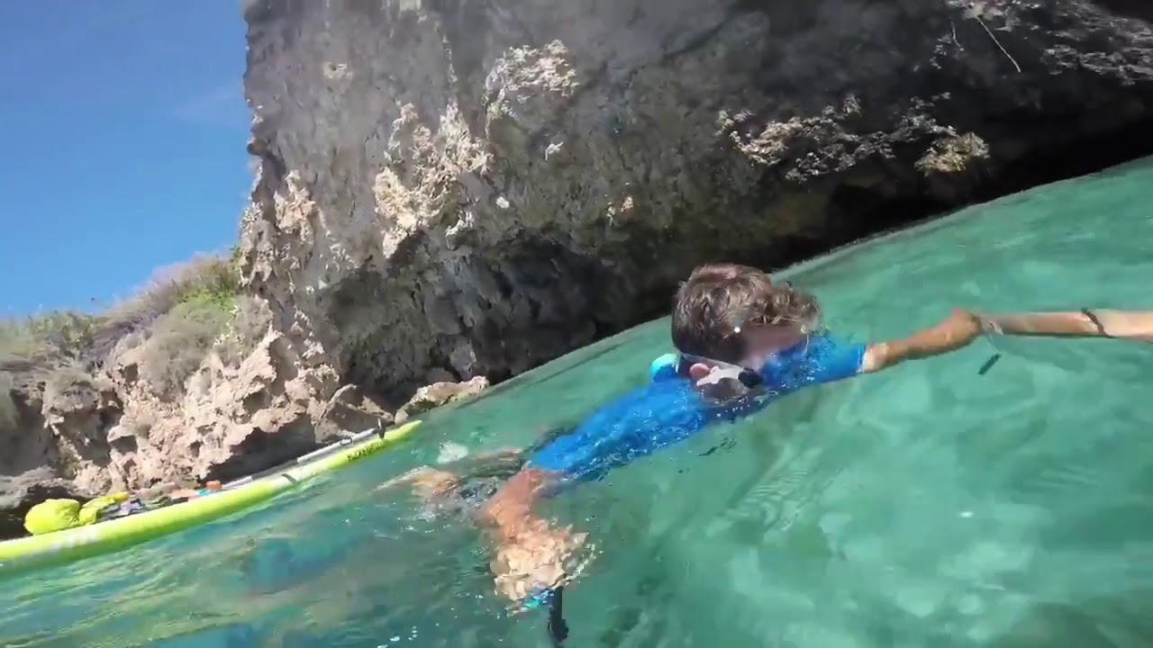 Let's Use GoPro Camera Take Perfect Underwater Pictures with Dome Port ...