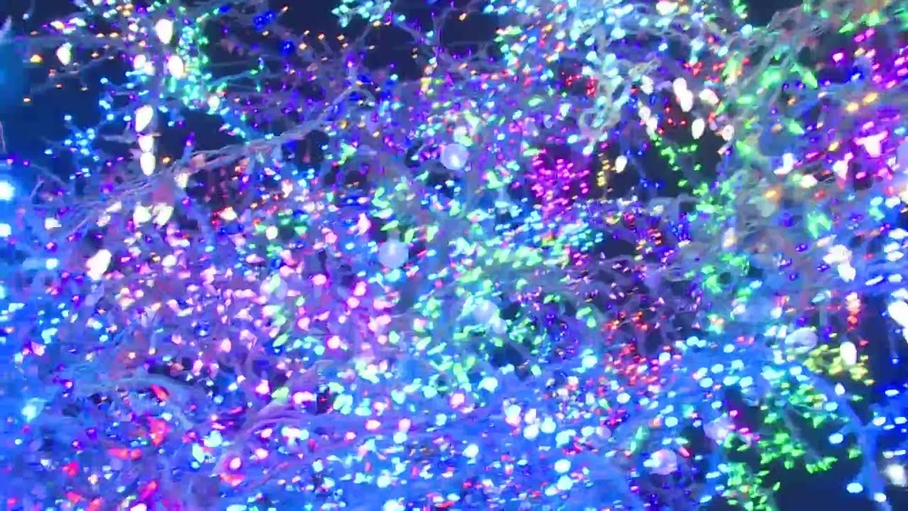 The Magic Tree returns to Lee's Summit, Missouri for the holiday season ...