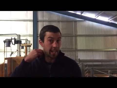 Curlew Merino, Edenhope - YouTube