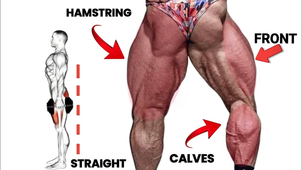 Best Top Front, Hamstring & Calves Leg Exercises To Build Big Leg Muscle | Leg Workout - YouTube