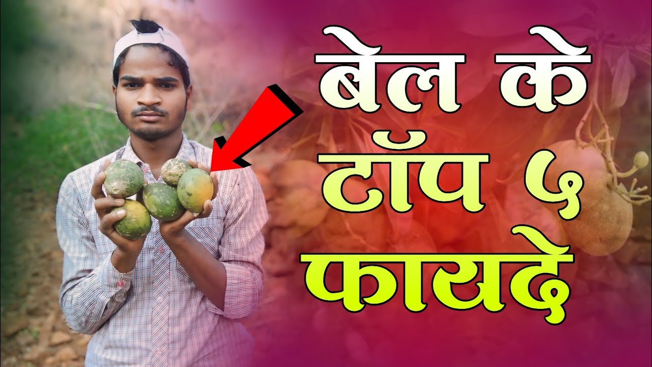 Five Benefits of Bael Herb। Sangram Singh Maravi। Shankar Maravi। - YouTube