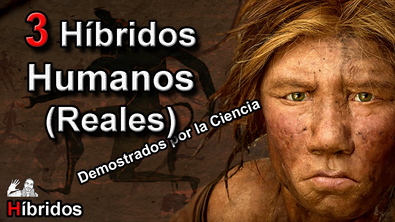 Humanos Híbridos Reales