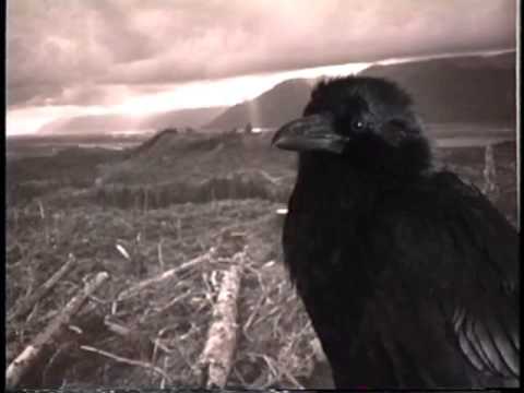 Two videos in one: a quote from Tom Brown, Jr. n The Mystery