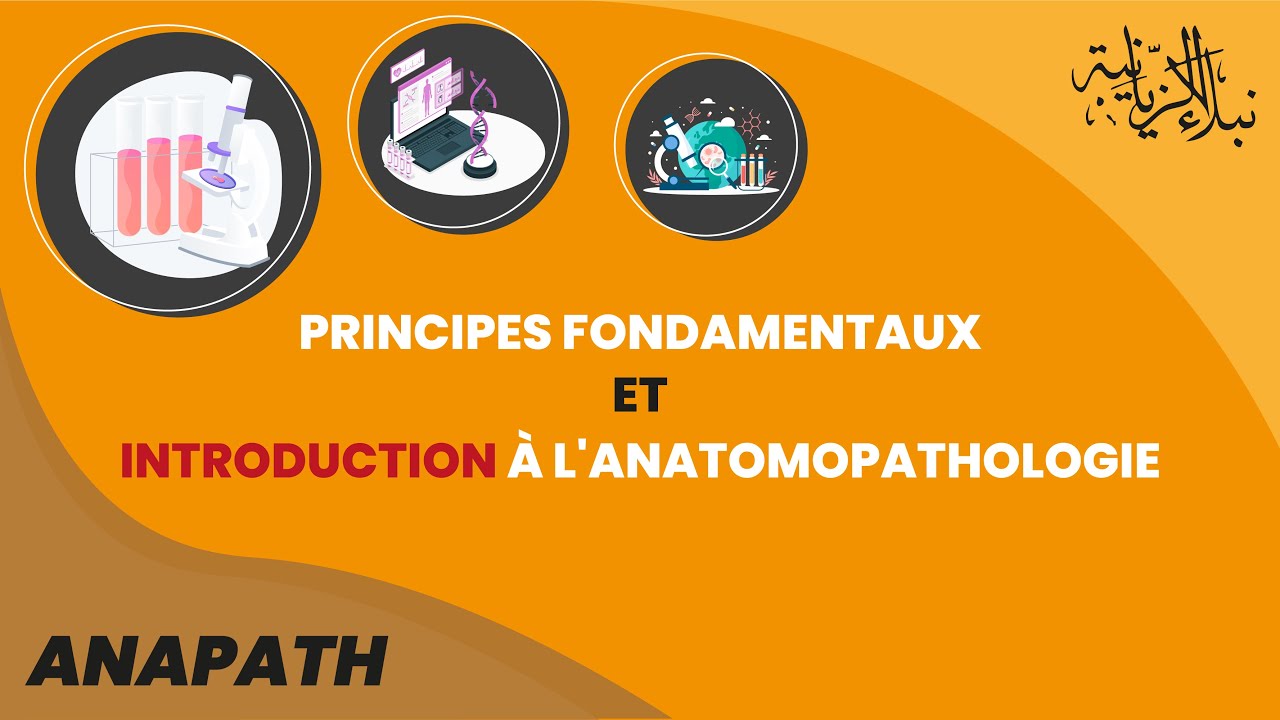 PRINCIPES FONDAMENTAUX & INTRODUCTION À L'ANATOMOPATHOLOGIE | Nobles ...