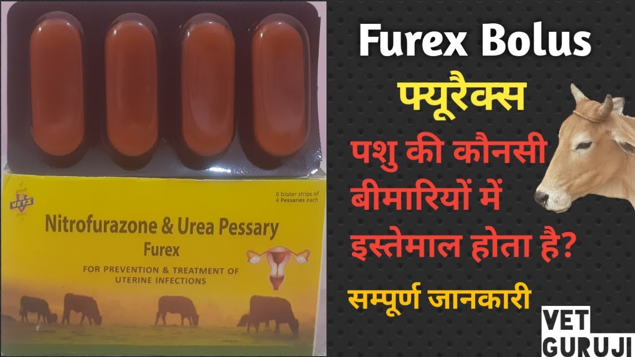 Furex Bolus का पशुओं में उपयोग कैसे करें? Nitrofurazone & Urea Pessary ...