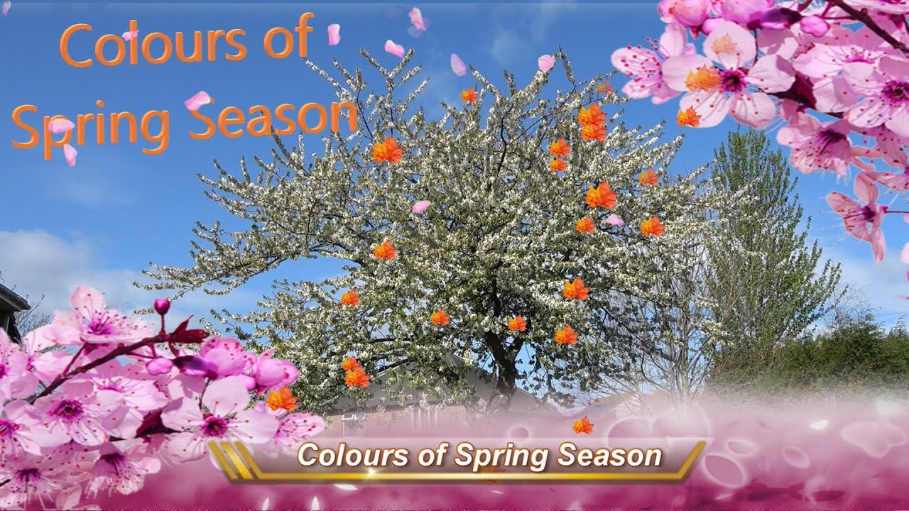 Spectacular Colours of Spring Season in England - YouTube