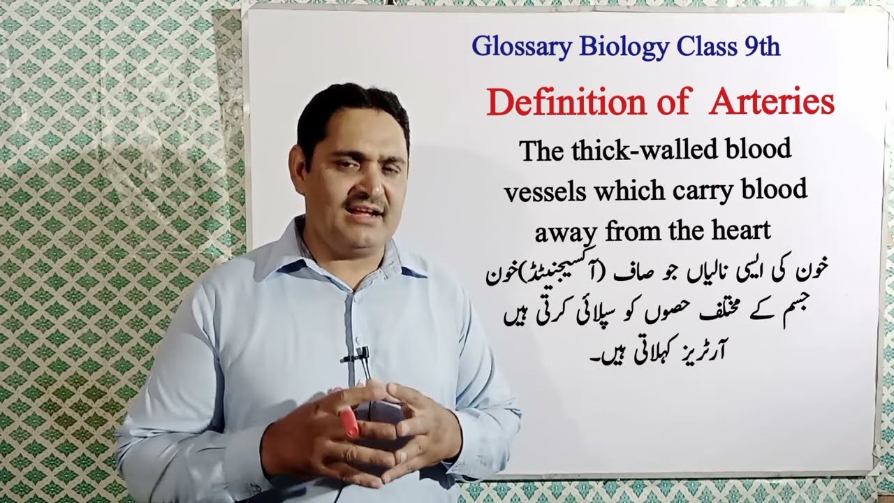 Arteries = Definition of arteries| Biology Class 9th - YouTube