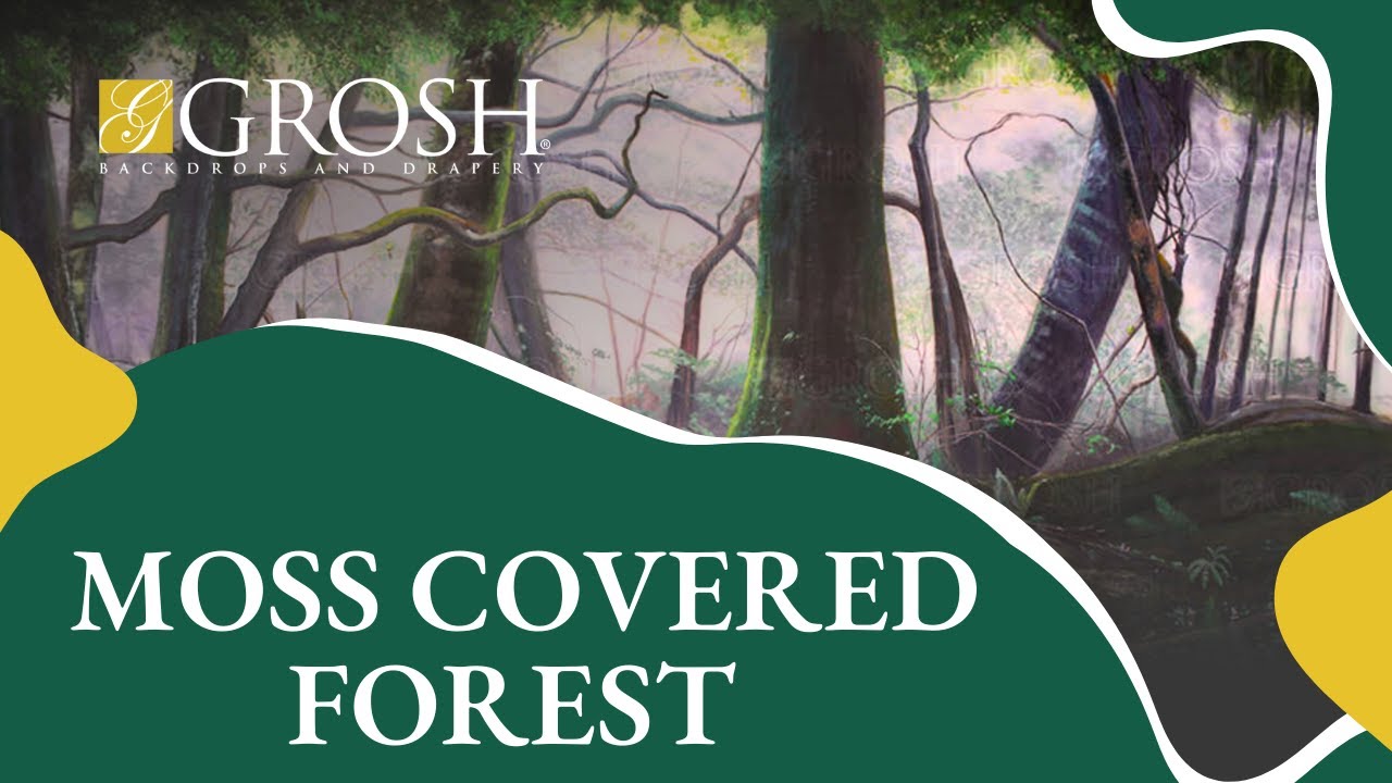 Moss Covered Forest Panel - YouTube