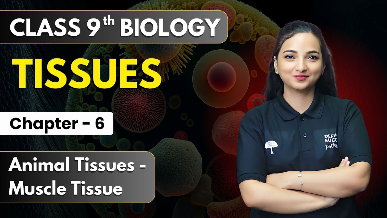 Tissues - Animal Tissues - Muscle Tissue | Class 9th Biology Chapter 6 ...