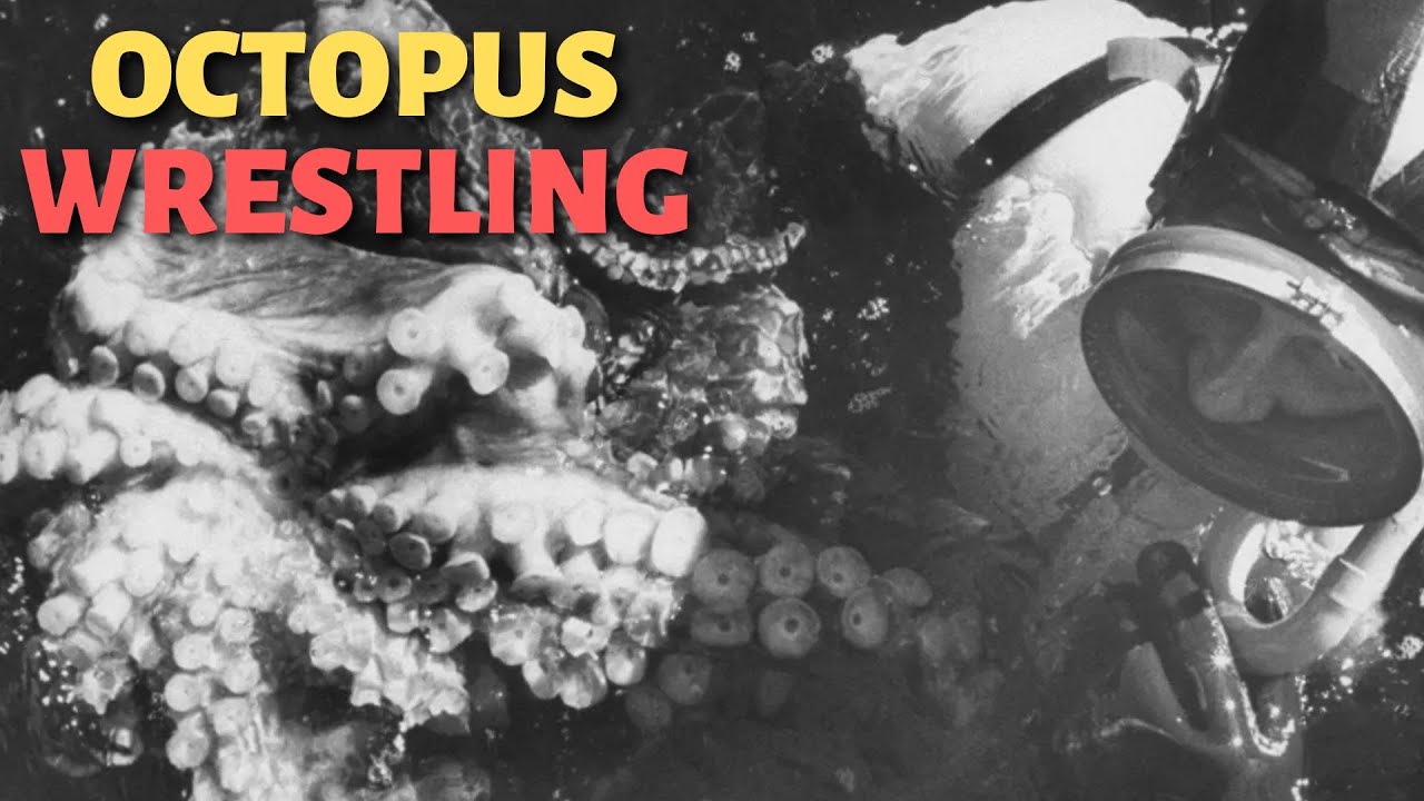 Wrestling With An Octopus | History 101 - YouTube