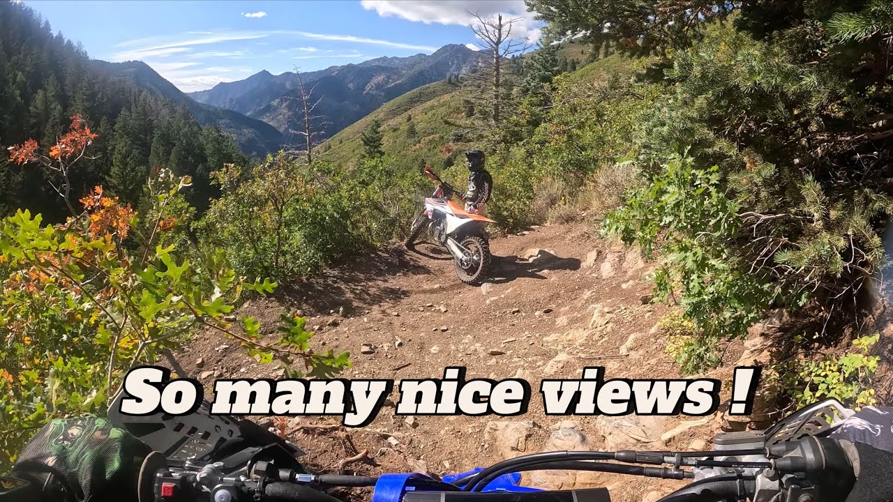 WE LIVE IN A SIMULATION - YouTube