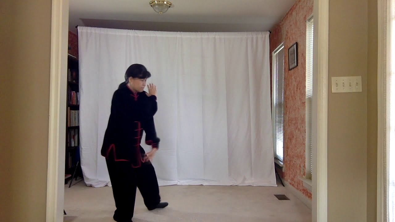 Step 21 of a long Tai Ji Quan, Diagonal Flying Posture - YouTube