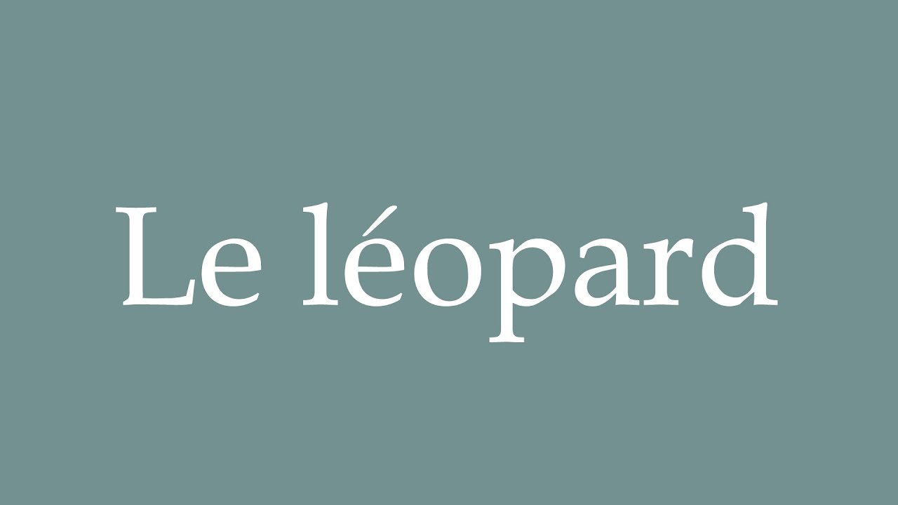 How to Pronounce ''Le léopard'' Correctly in French - YouTube