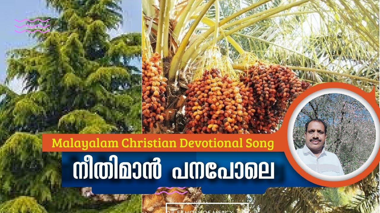 നീതിമാൻ പനപോലെ I Cover Song I Neethimaan panapole I Saji Philip I D# ...