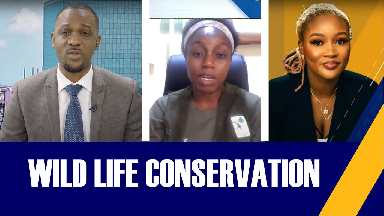 Wild Life Conservation - YouTube