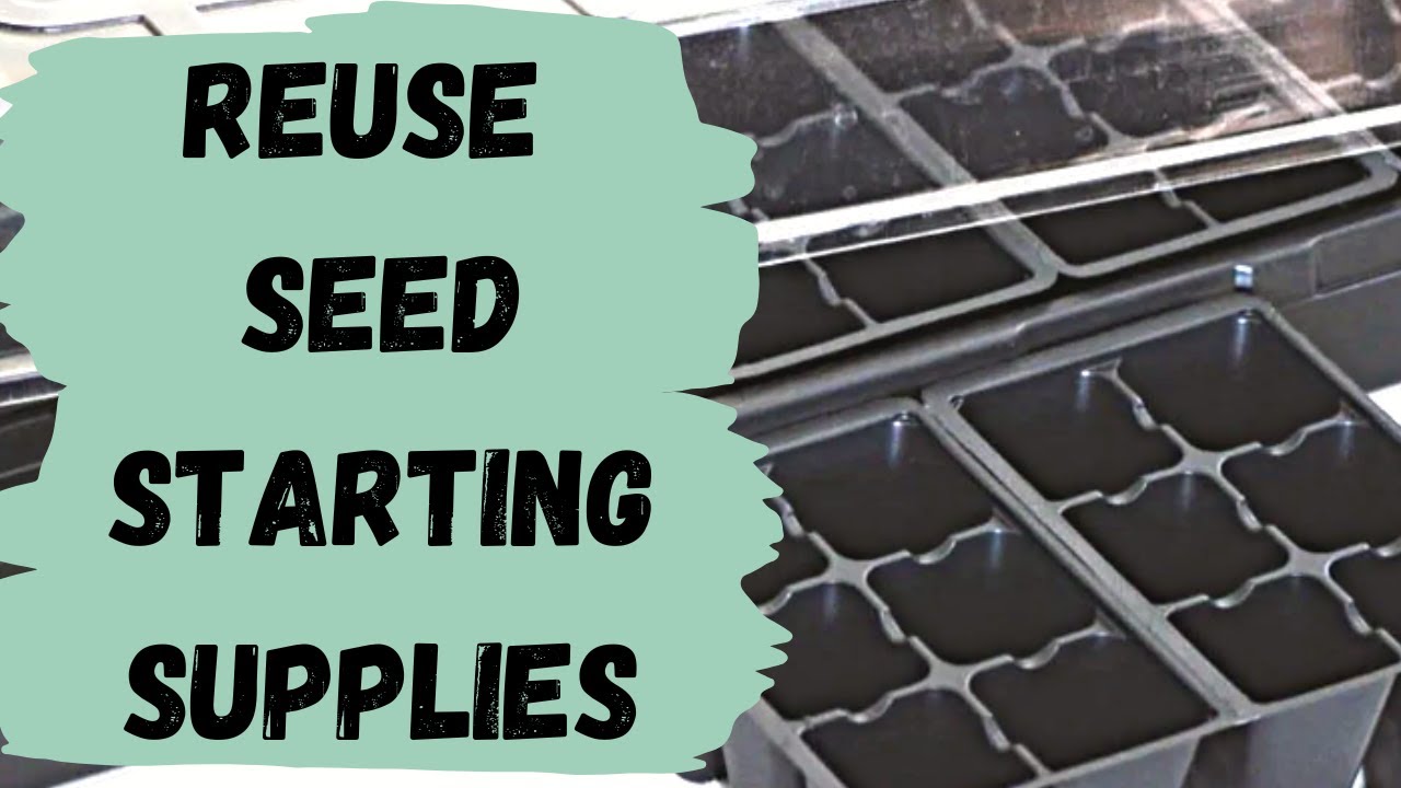Reusing Seed Starting Supplies - YouTube