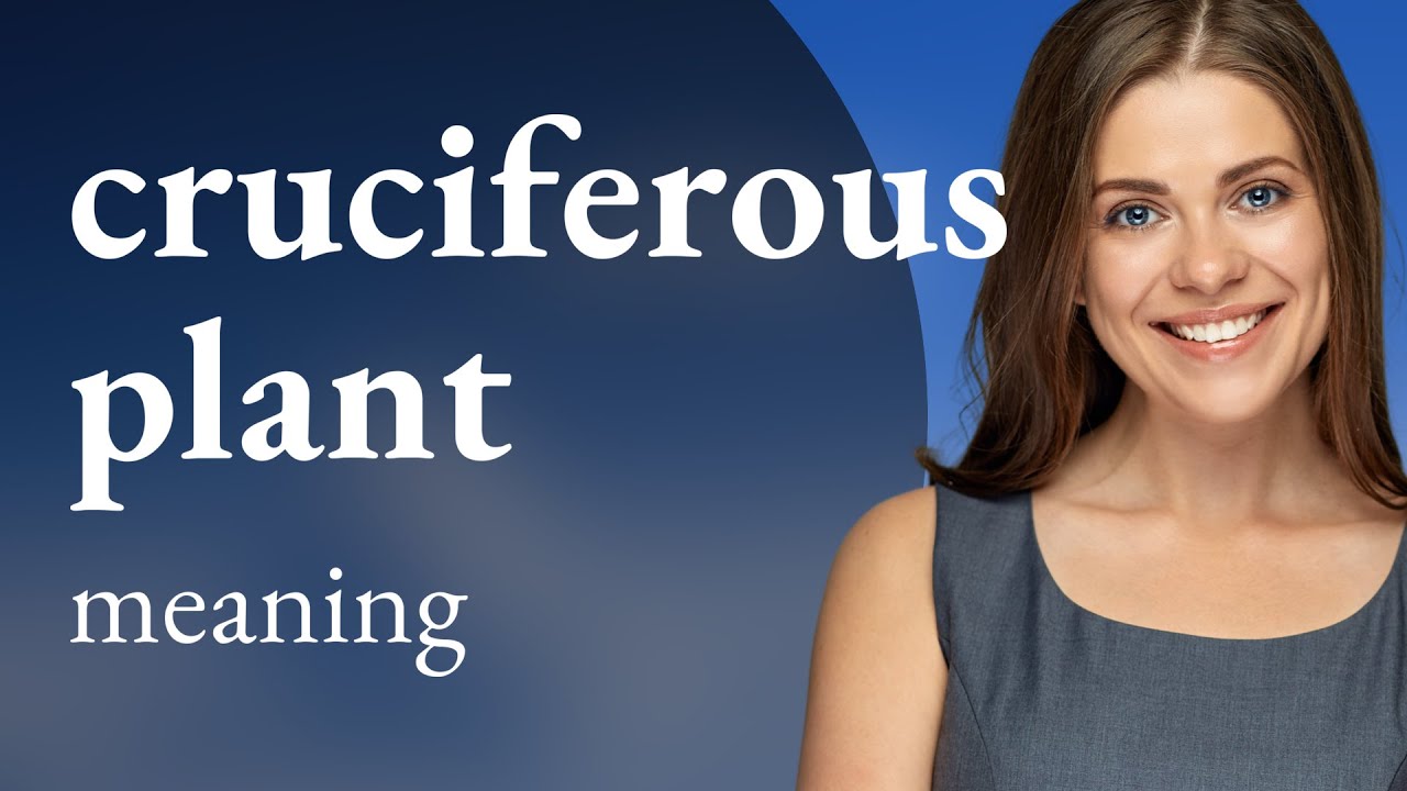 Cruciferous plant | what is CRUCIFEROUS PLANT definition - YouTube