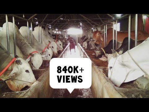 Sadeeq Agro 2018 Collection - YouTube