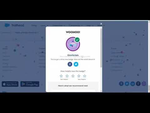 OmniScripts | Salesforce - YouTube